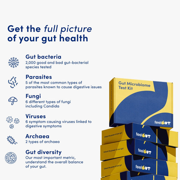 At-Home Gut Microbiome Test - Measures 2,000 Types Of Gut Bacteria