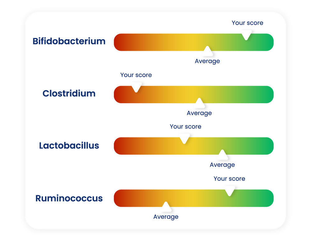 The UK's most complete gut microbiome test kit | Get the full picture
