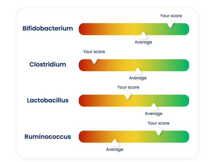 The UK's most complete gut microbiome test kit | Get the full picture